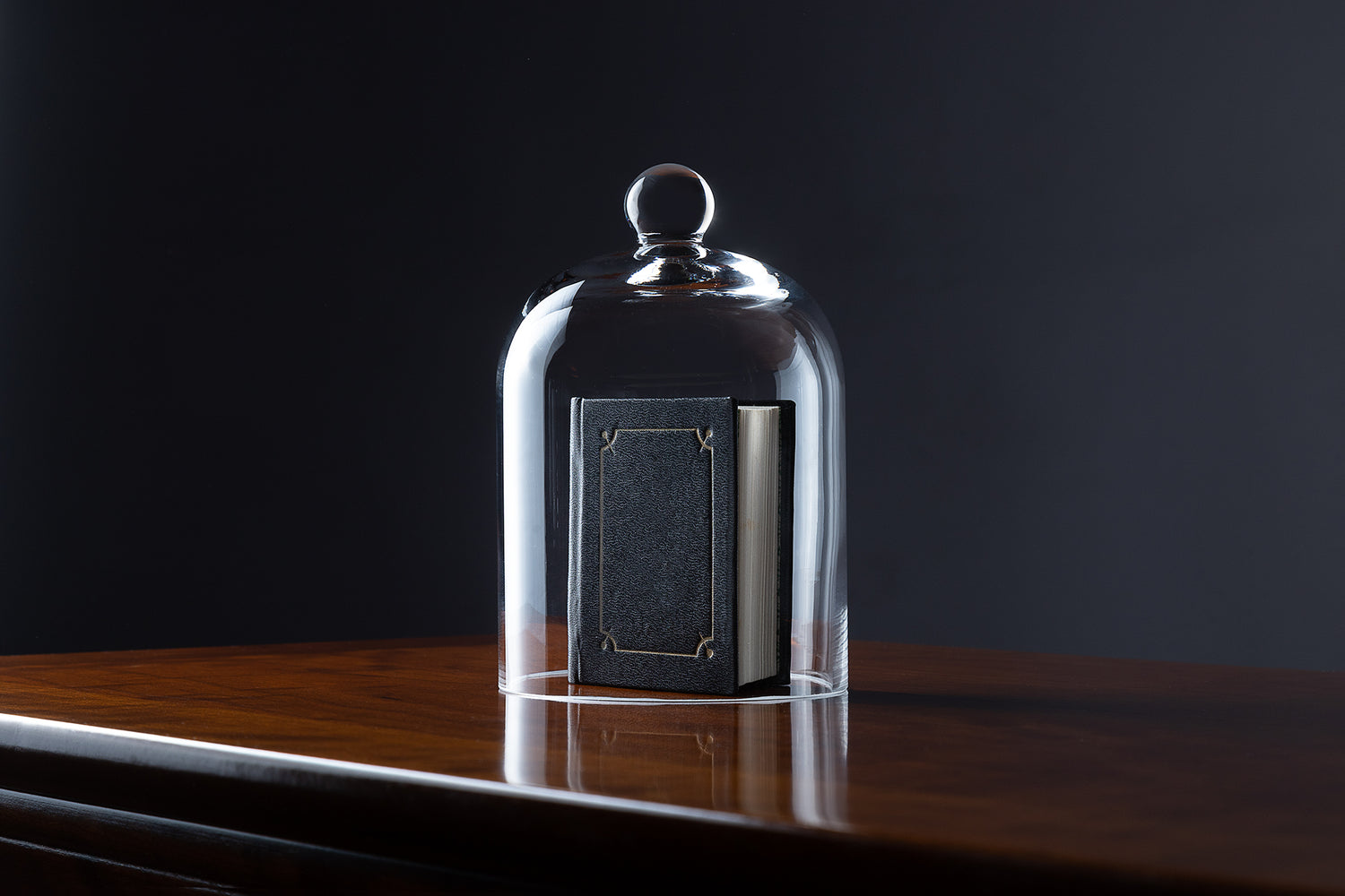 The Miniature World Under Glass: Decorating with Mini Cloches – Glass ...