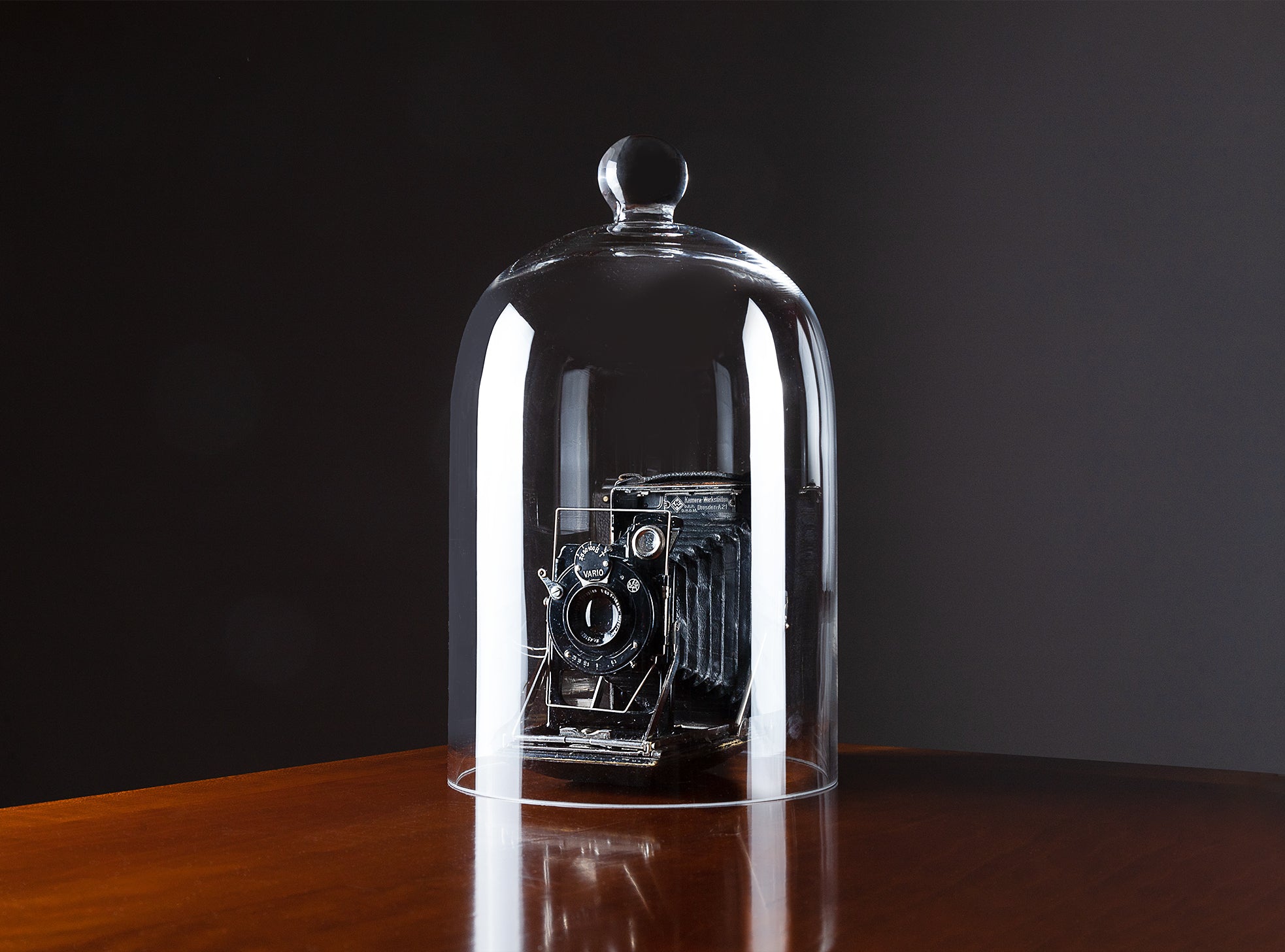 Luxury Glass Cloches. Vintage Hand Crafted Glass Domes.